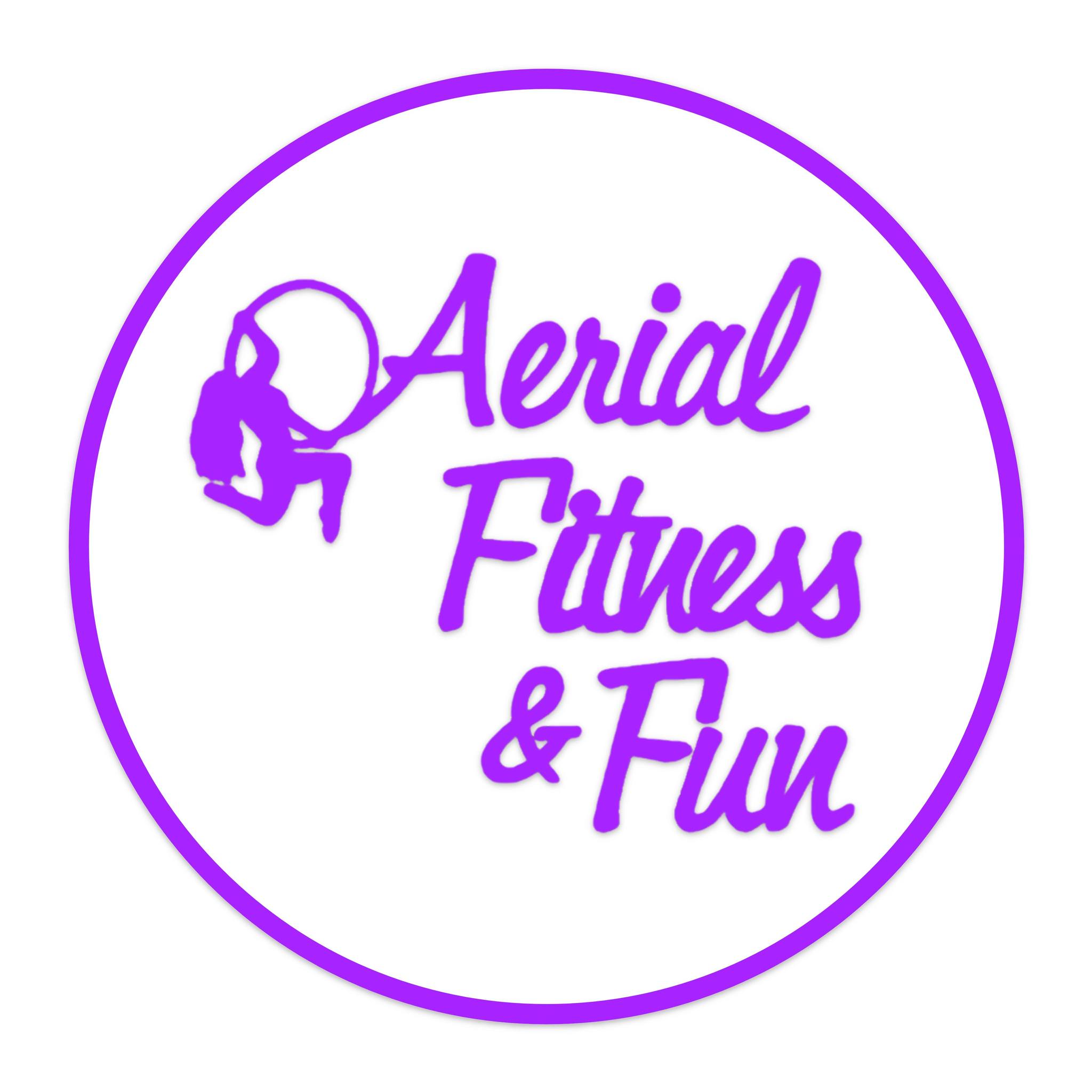 Home - aerial fitness & fun